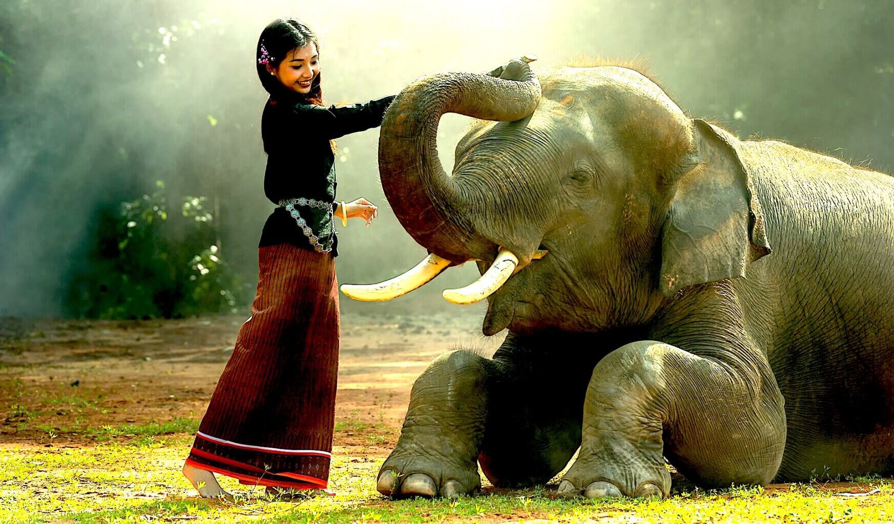 Sam OTTEWILL-SOULSBY: Słoń w menażerii